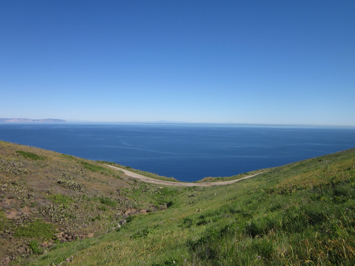 Invasion of the Earthworms – Travis Longcore