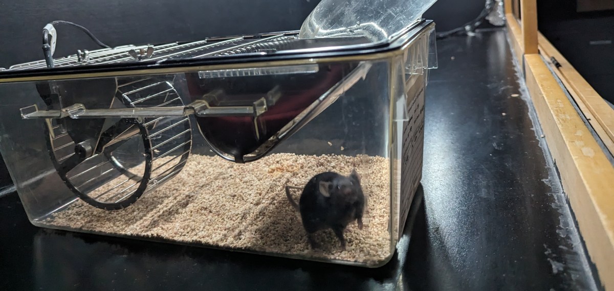LEDs and Terrestrial Wildlife – Travis Longcore